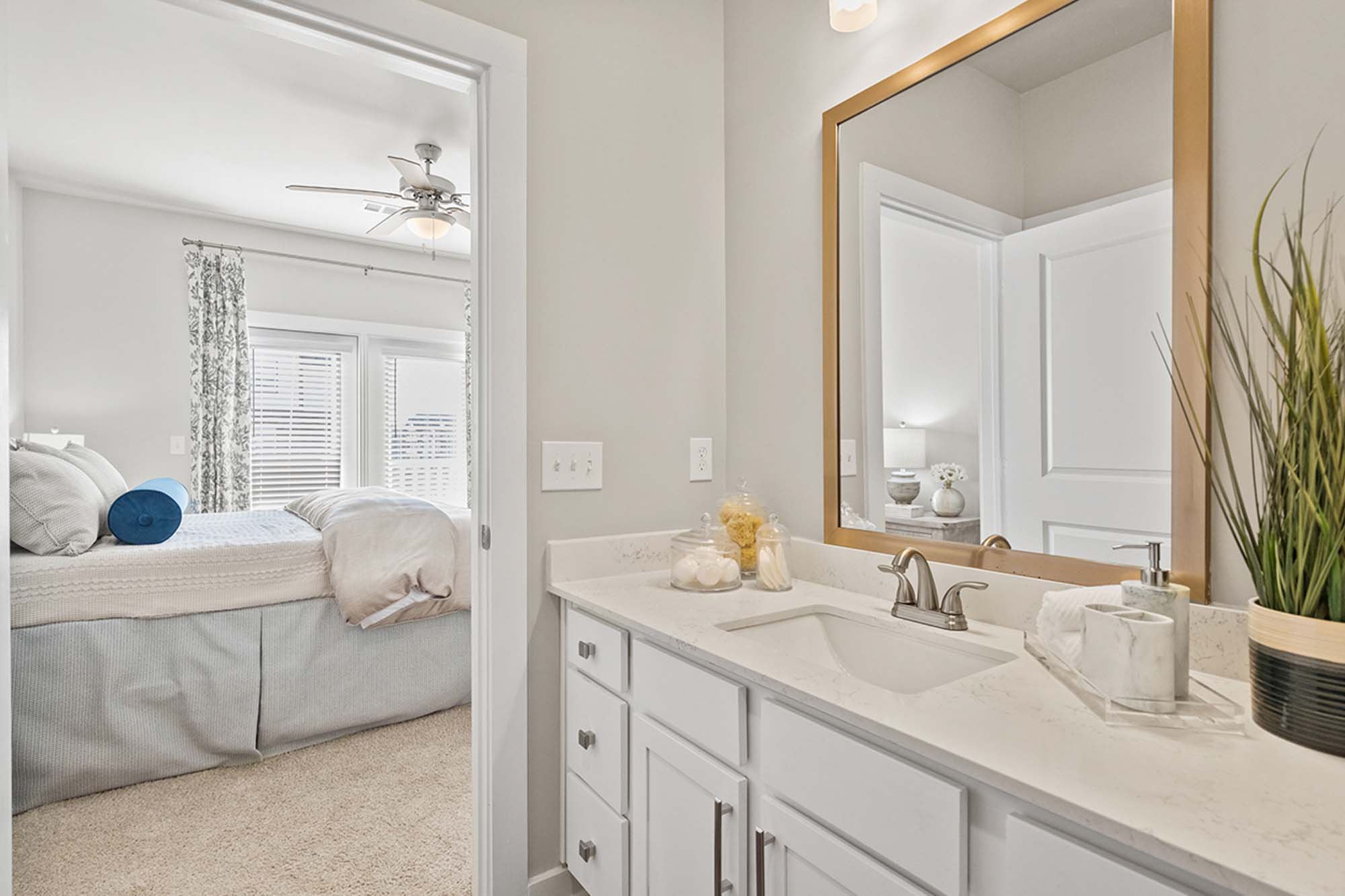 New Luxury Pet Friendly 1,2 & 3 Bedroom Apartments For Rent in Byron ...